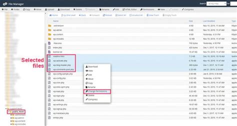 How To Set File And Folder Permissions In Wordpress Qode Interactive