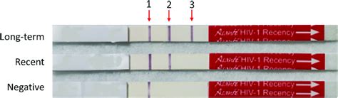 Interpretation Of The Asante Rapid Recency Assay Results Is Based On Download Scientific
