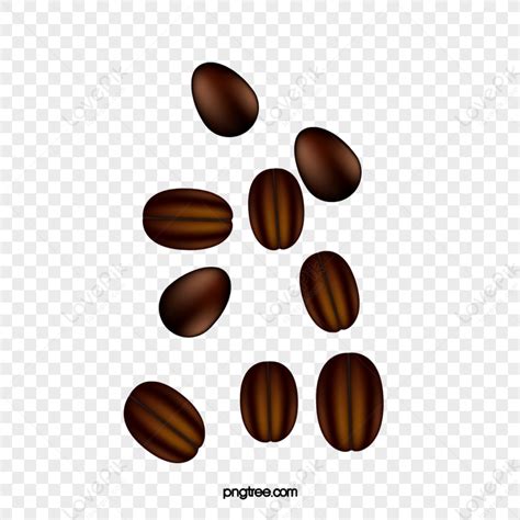 만화 손으로 그린 커피 콩 일러스트 그림그래픽텍스처 Png 일러스트 무료 다운로드 Lovepik