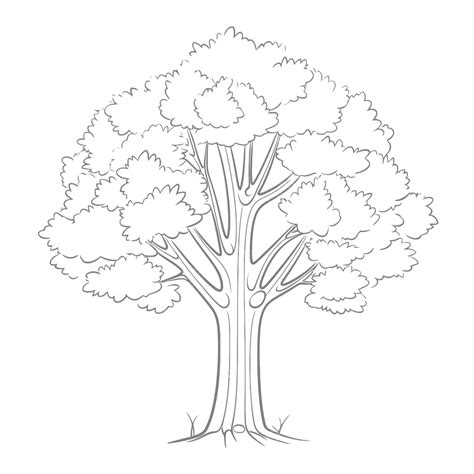 Free Printable Images Trees Download Free Printable Images Trees Png