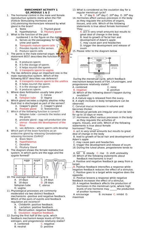 Review DAY 1 Module 12 1 ENRICHMENT ACTIVITY 1 Q3 MODULE 1 2 The Hormonal Control In The