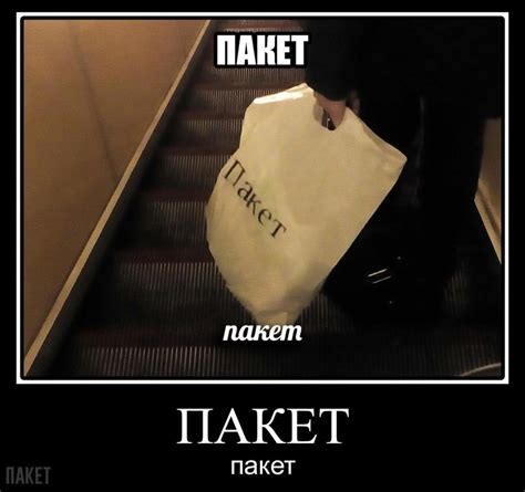 Ssnow Пакет с пакетами Package With Packages Lyrics Genius Lyrics