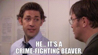 Yarn He Its A Crime Fighting Beaver The Office 2005 S07e18 Todd Packer Video