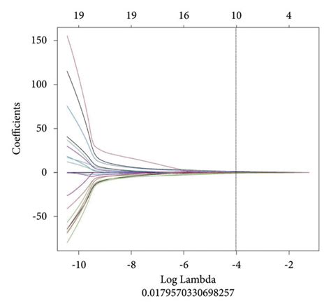 Radiomics Features Identified By The Lasso Regression Method A The