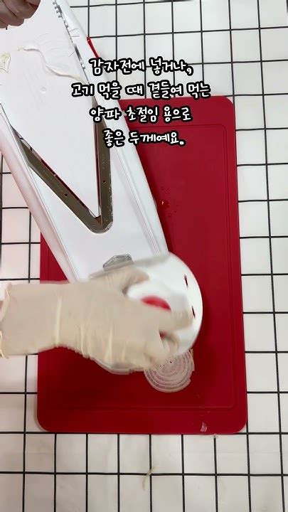 4단계 두께조절 헤스타 베르너 V5 만능채칼 양파 양배추 얇게 썰기 간단요리 채칼추천 만능채칼 양배추채칼 Youtube