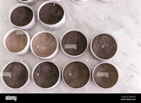 Testing Of Different Soil Samples In The Agricultural Laboratory Stock Photo Alamy