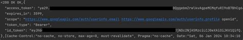 Springboot Error Description Malformed Auth Code