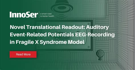 Auditory Event Related Potentials Eeg Recording Innoser