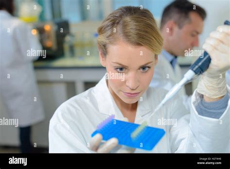Female Lab Technician Collecting Samples From Pipette Stock Photo Alamy