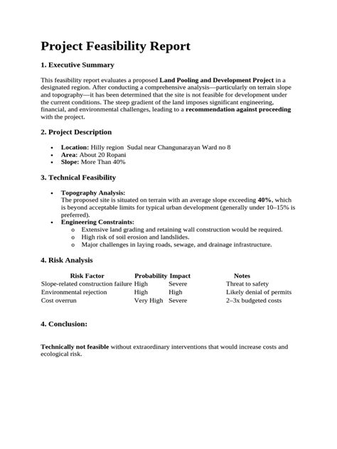 Project Feasibility Report Pdf
