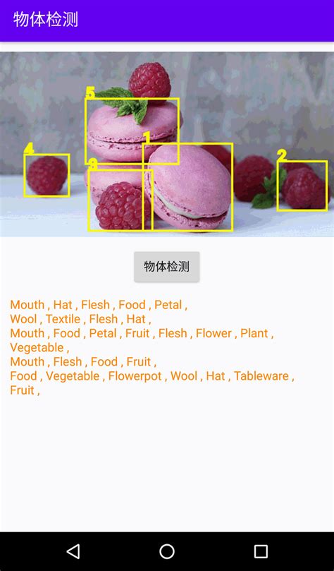 基于Google ML模型开发Android物体检测应用 Android 脚本之家