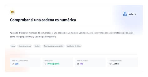 Análisis De Cadenas Numéricas En Java Tutoriales De Programación Labex