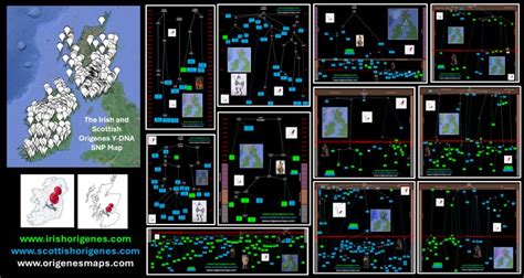 12 Years Of Research Done And Dusted This Is The Y Dna Snp Map Of Ireland And Scotland Each Y