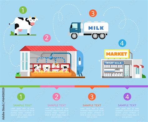 Cow Milk Production Process Cow Milk Production Process