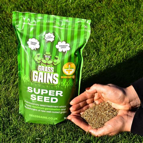 Grass Gains Super Seed 1kg Qvc Uk