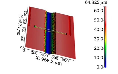 Three Dimensional Scanning Of Single Cut Sample 1 Download Scientific
