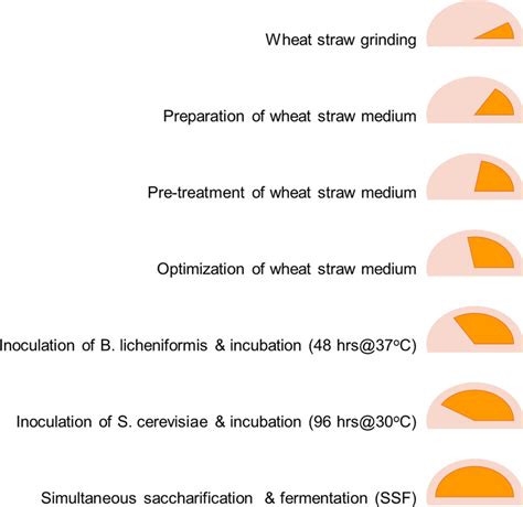 Schematics To Demonstrate The Simultaneous Saccharification And Download Scientific Diagram