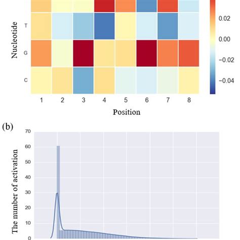 Pdf Deepss Exploring Splice Site Motif Through Convolutional Neural Network Directly From Dna