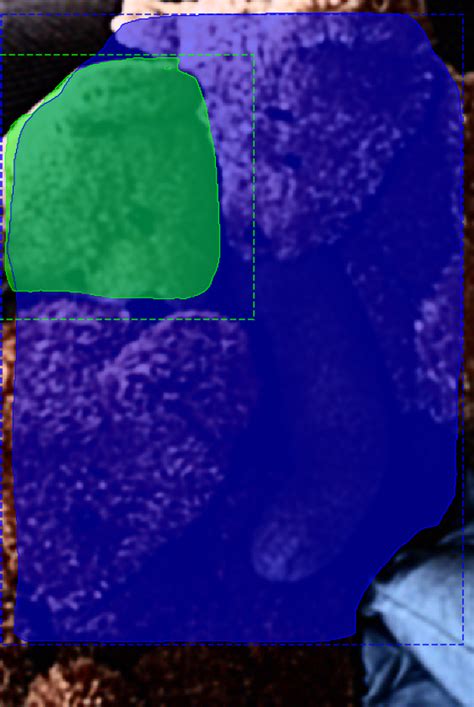 hardware in the loop end to end optimization of camera image processing pipelines