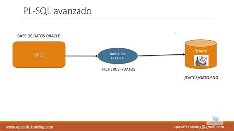 Oracle Plsql Avanzado Repaso Bfiles Directorys Youtube