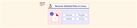 How To Recover Deleted Files In Linux Scaler Topics