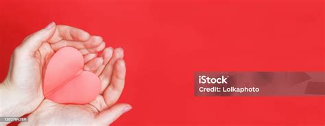 여성의 손은 빨간 배경에 고립 된 손바닥에 빨간 마음을 잡고 있습니다 사랑 결혼식 발렌타인 데이 8 3 월 개념 개념에 대한 스톡 사진 및 기타 이미지 Istock