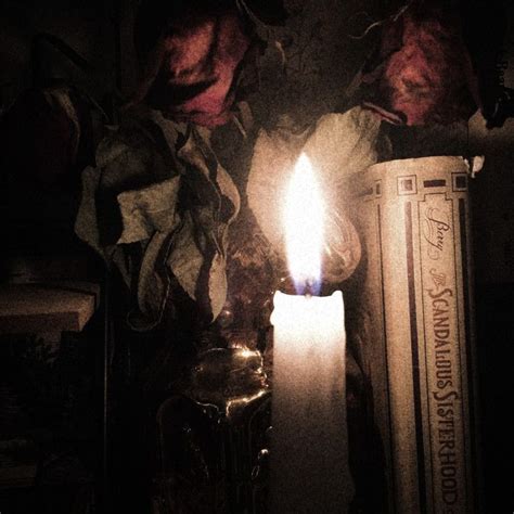 Célie Tremblay The Scarlet Veil Dark Aesthetic Gothic Aesthetic