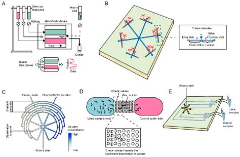 Schematic Illustrations Of Microfluidic Systems Employed In Behavior Download Scientific