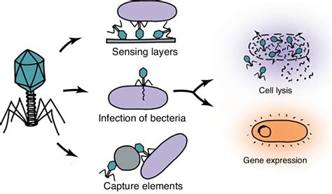 New Review Paper Surface Nanoengineering Group