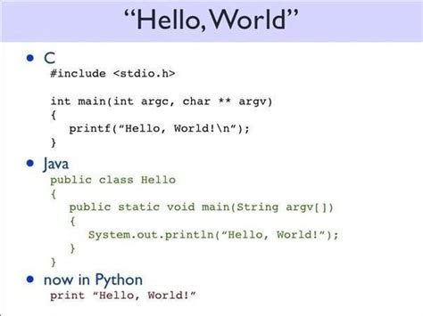 Hello World In Python I Am Programmeri Have No Life