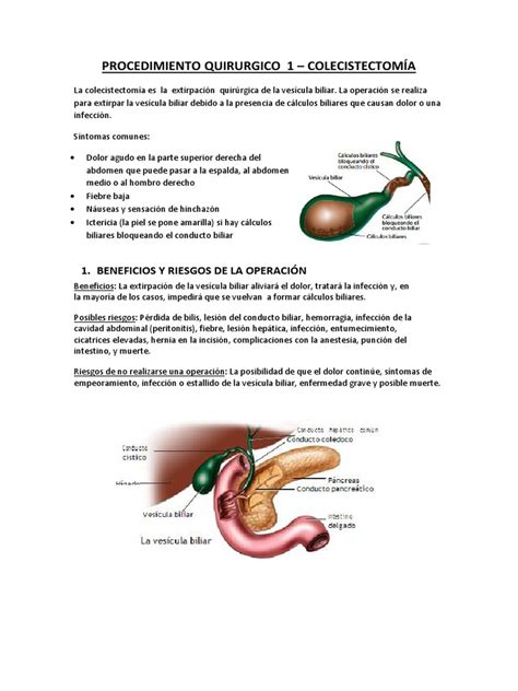 Proced Qx Colecistectomia Pdf Especialidades Medicas Medicina Clinica