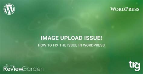 11 Methods How To Fix The Image Upload Issue In Wordpress