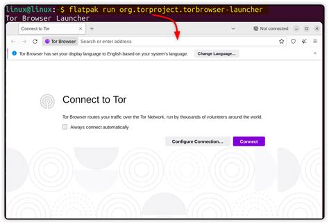 How To Install Tor Browser On Ubuntu 24 04 Linux Genie