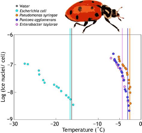 Ice Nucleating Bacteria Bring The Temperature Of Crystallization Of Download Scientific Diagram