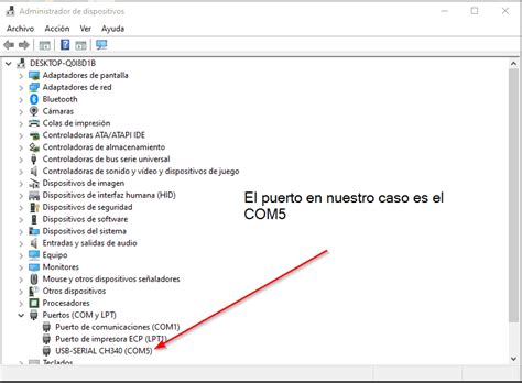 Programador Novato