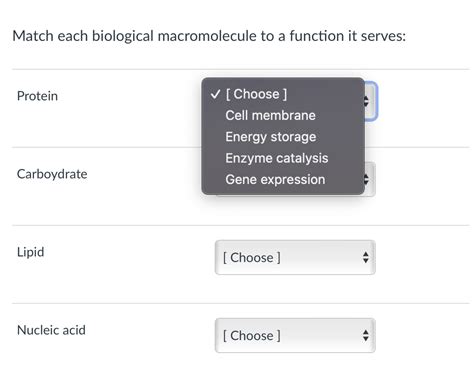 Solved Match Each Biological Macromolecule To A Function It