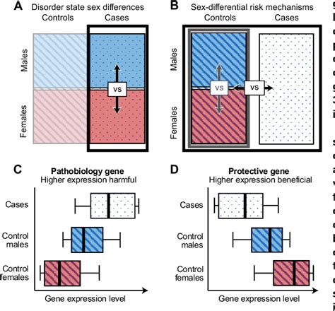 Figure 1 From Neural Transcriptomic Analysis Of Sex Differences In Autism Spectrum Disorder