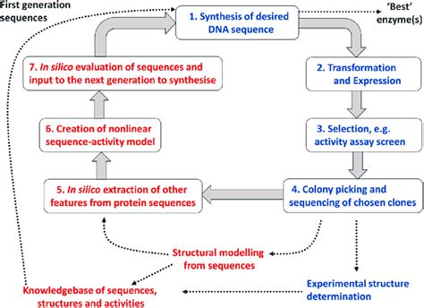 An Example Of The Basic Elements Of A Mixed Computational And