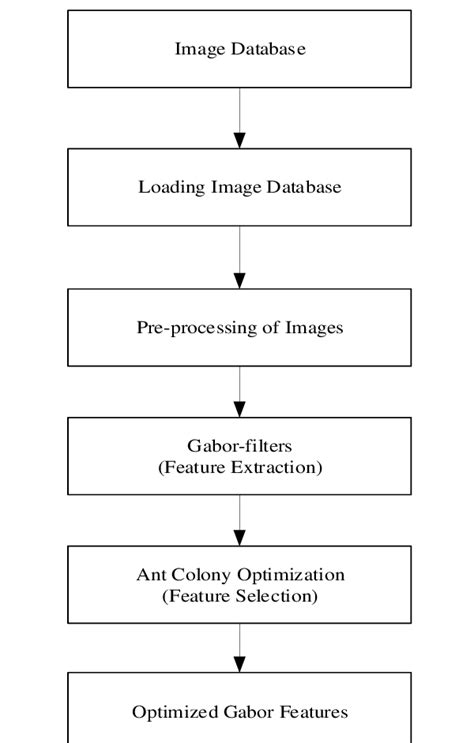 Block Diagram Of Optimized Gabor Features System Download Scientific Diagram
