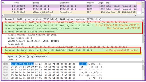 Packet Capture On Fabric B And Fabric A EVPN VxLAN Based Multisite