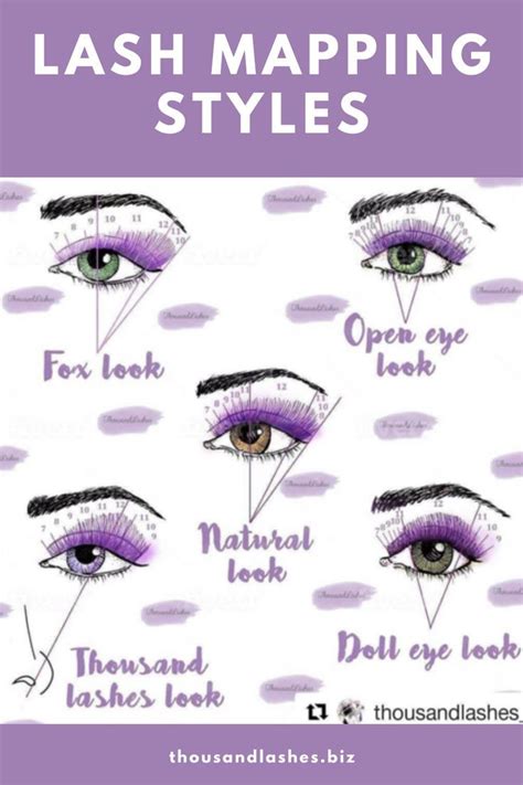 A Comprehensive Guide To Lash Mapping Eyelash Extentions Lashes Perfect Eyelashes
