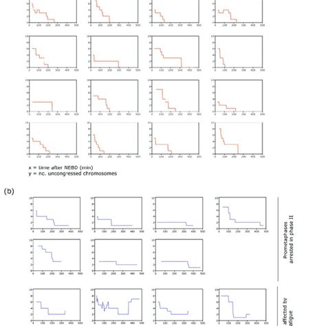 Figure A1 Individual Cell Behaviour Under Cenp E Inhibition A