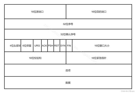 Tcpip体系结构tcip架构 Csdn博客
