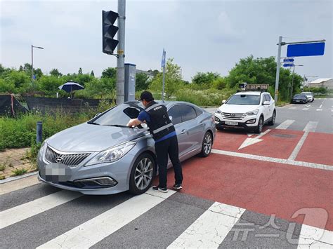 진천군 16일부터 내달 2일까지 불법 주정차 단속 유예