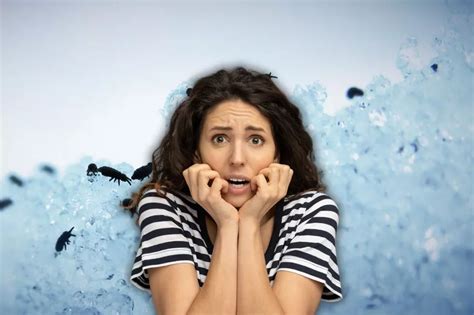 Does Colorado Have This Pesky Biting Bug