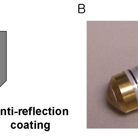 A Schematic Structure And B Photo Of Fabricated Transducer Download Scientific Diagram