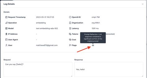 Prompt Reflection Detection Usage Panda Docs