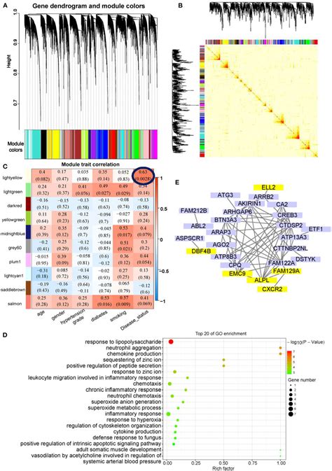 Co Expression Network Analysis Of Exosomal Mrnas In Ami A Cluster Download Scientific