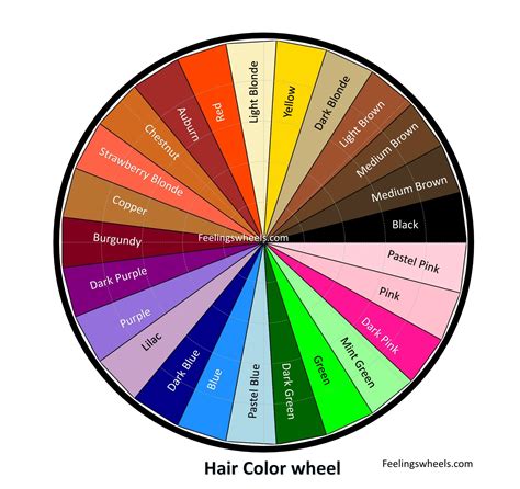 Master Hair Color Theory The Ultimate Guide To Perfect Shades