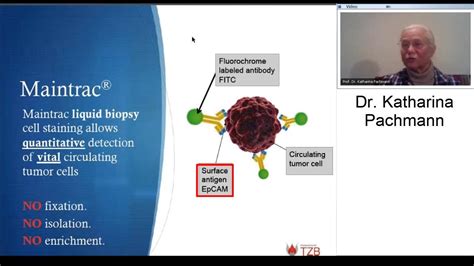 Circulating Epithelial Tumor Cells For Monitoring And Chemosensitivity